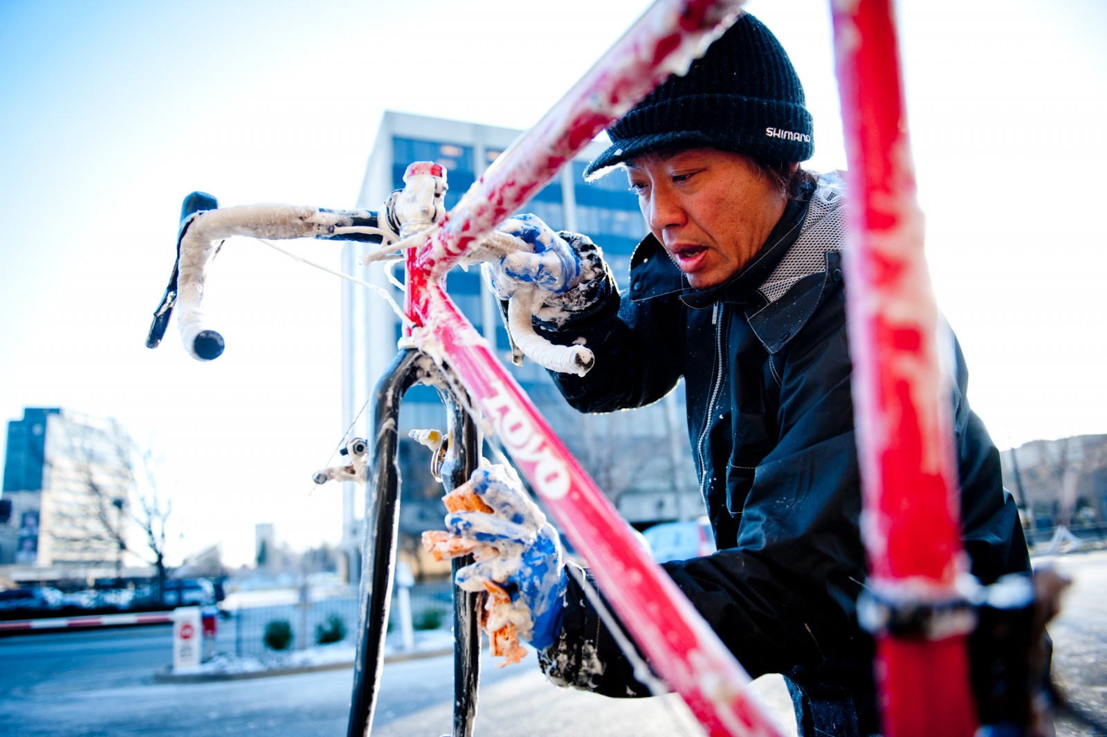 CAT0946 | TOYO FRAME