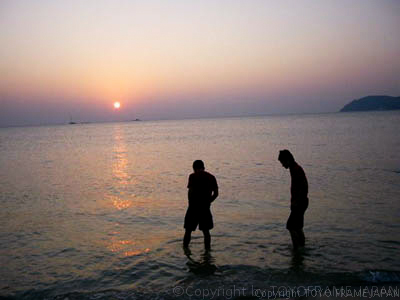 picture_sight-1 | TOYO FRAME